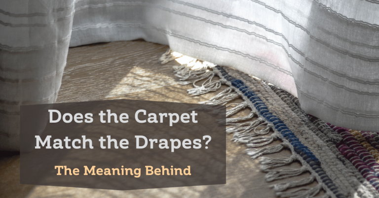 Does the Carpet Match the Drapes? (The Meaning Behind) – Carpet and Rug ...