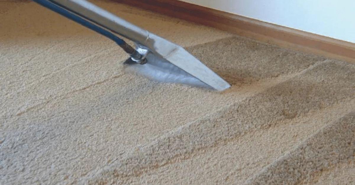 Behind the Scenes of Hot Water Extraction. (It has 3 Big Benefits ...