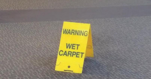 How to Deep Clean Carpet With Steam Cleaner? (Step-By-Step Guide ...