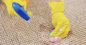 How to Clean a Jute Rug With Baking Soda (Easy!) – Carpet and Rug World