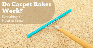Do Carpet Rakes Work? (Everything You Need to Know) – Carpet and Rug World